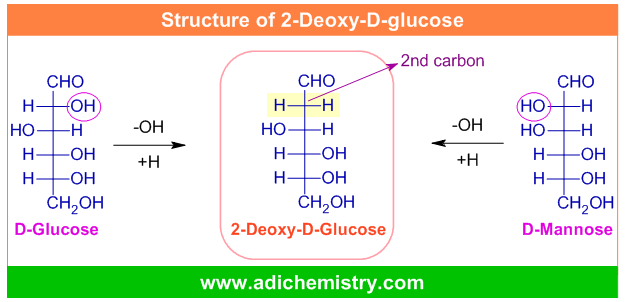2-Deoxy-D-glucose (2-DG) Anti-COVID-19 Drug - Anti tumor agent